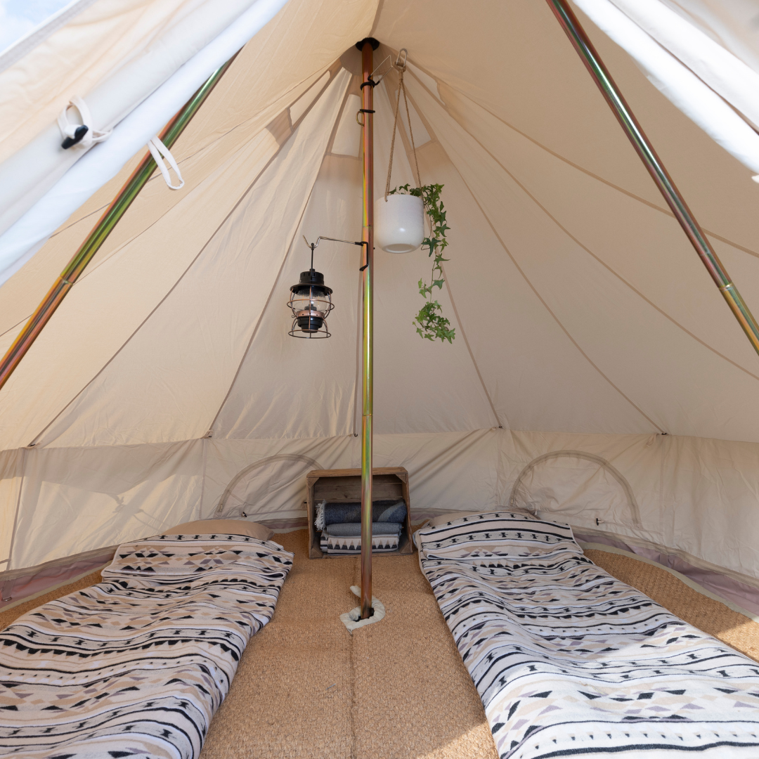 Amaroq Glamping